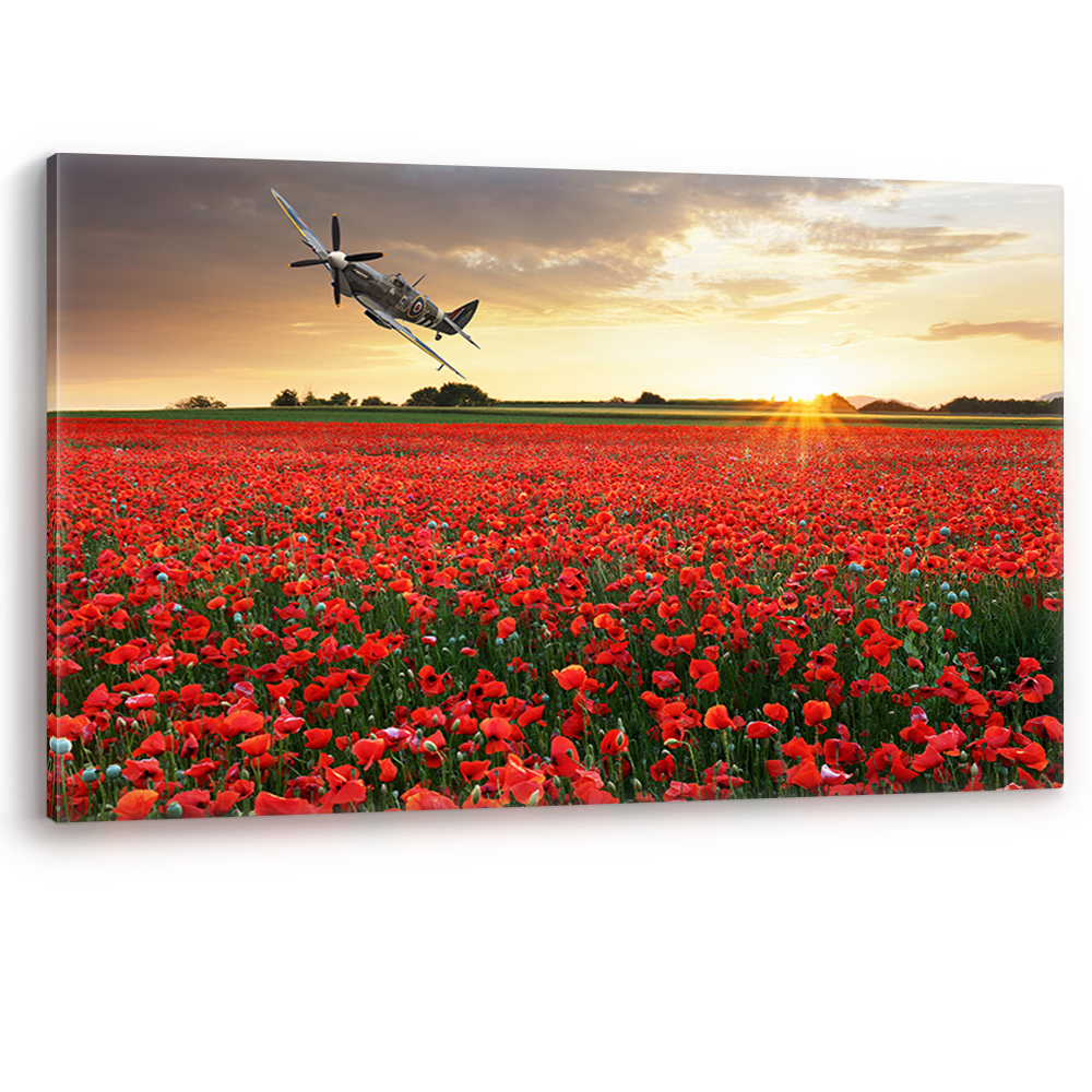 Spitfire Aircraft at Sunset Poppy Field Poppies Remembrance Canvas ...